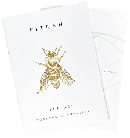 Fitrah The Bee - Wonders Of Creation (Candle) – Mecca Books