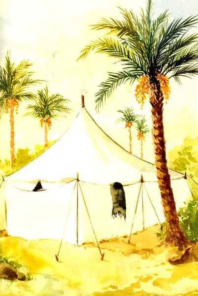 The Great Miracle: The Story of Prophet Isa (Jesus) Published by ...